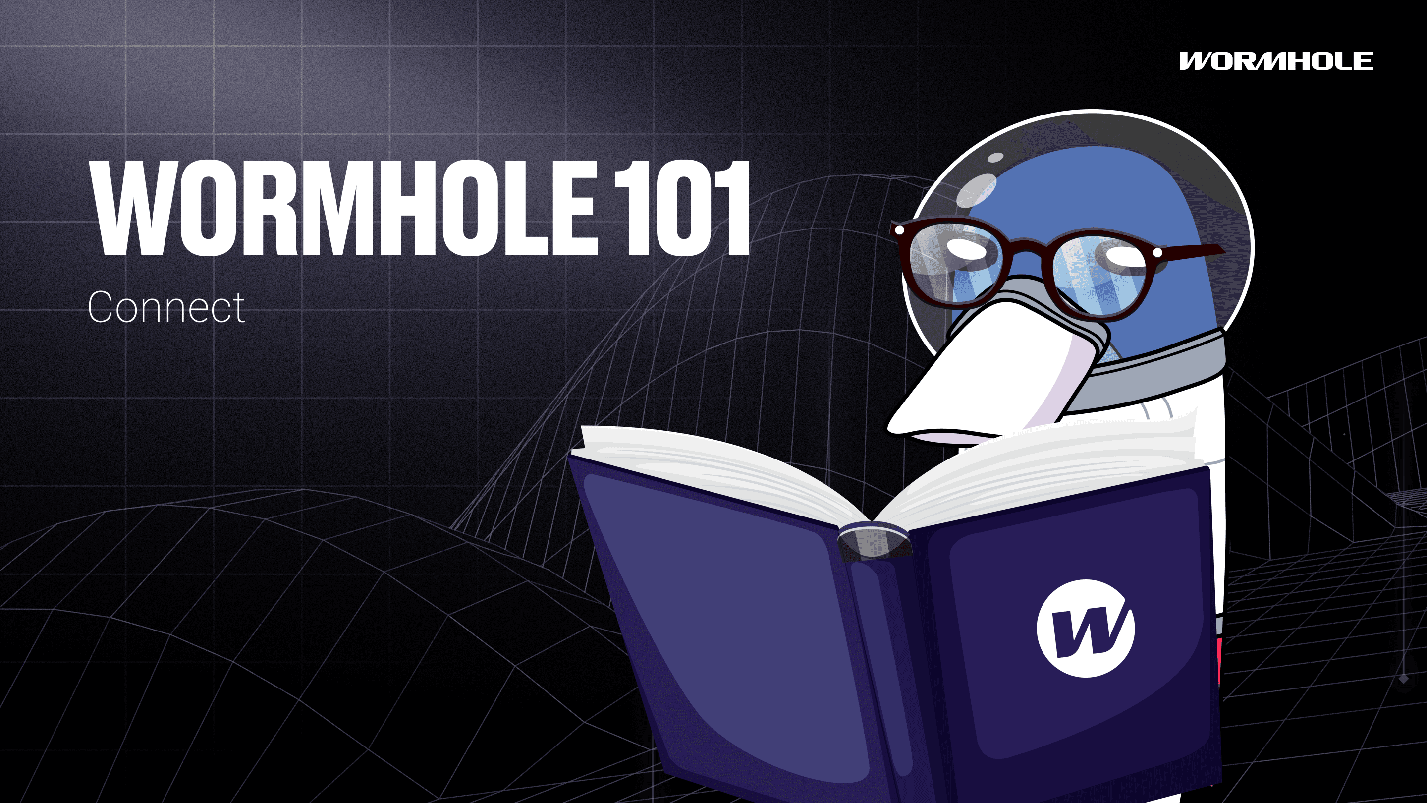 Wormhole 101: connect | Wormhole